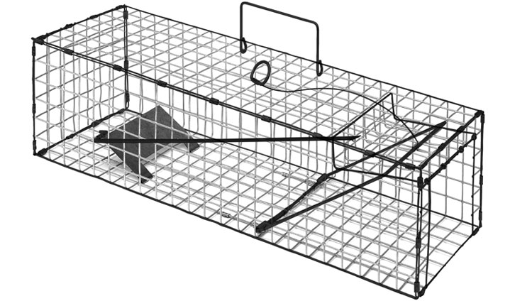 ALBI 089 Hedgehog Trap - ALBI-TRAPS